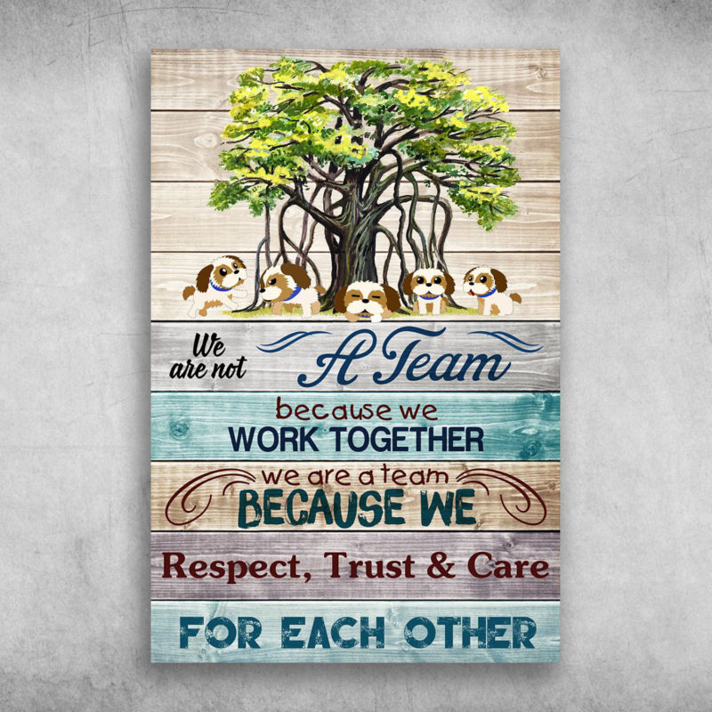 We Are Not A Team Because We Work Together Canvas, Poster - FridayStuff