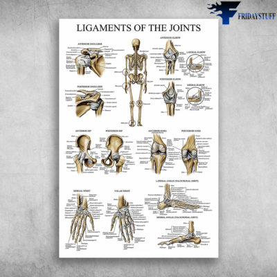 Ligaments Of The Joints Human Skeleton Anatomy Canvas, Poster - FridayStuff