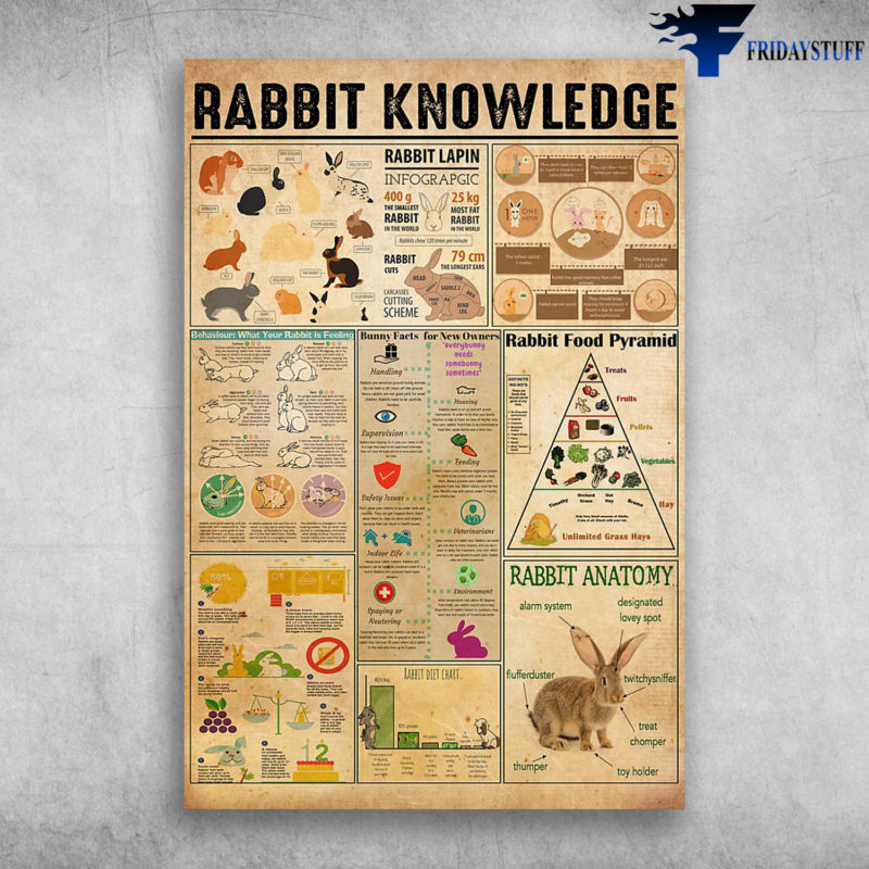 Rabbit Knowledge Rabbit Anatomy Rabbit Food Pyramid Canvas, Poster ...