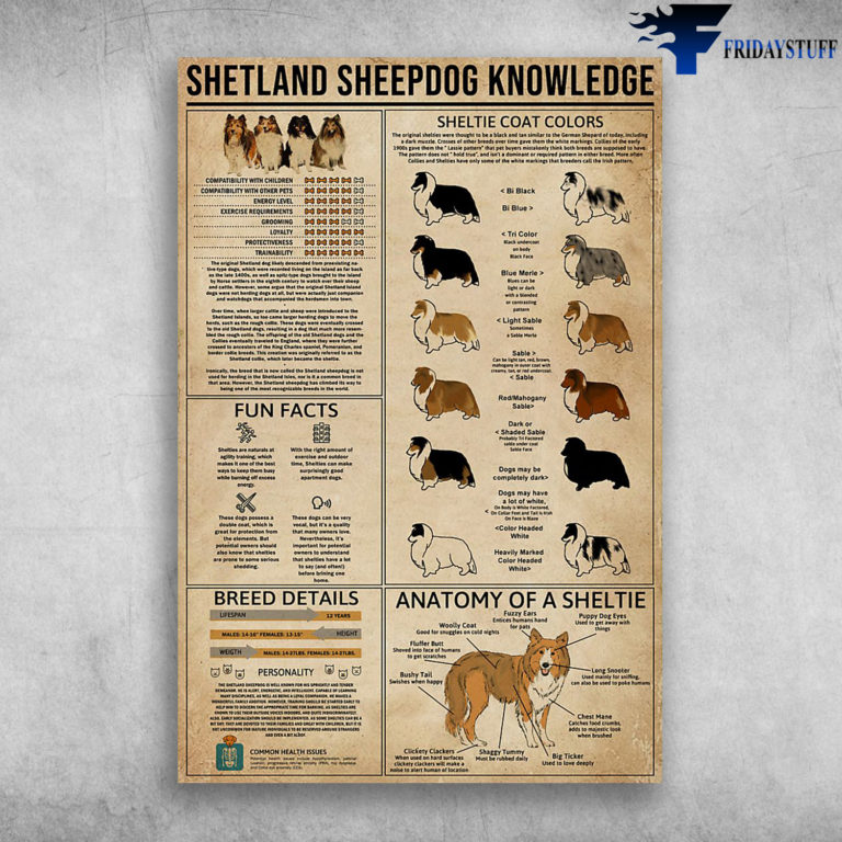 Shetland Sheepdog Knowledge Sheltie Coat Colors Canvas, Poster ...