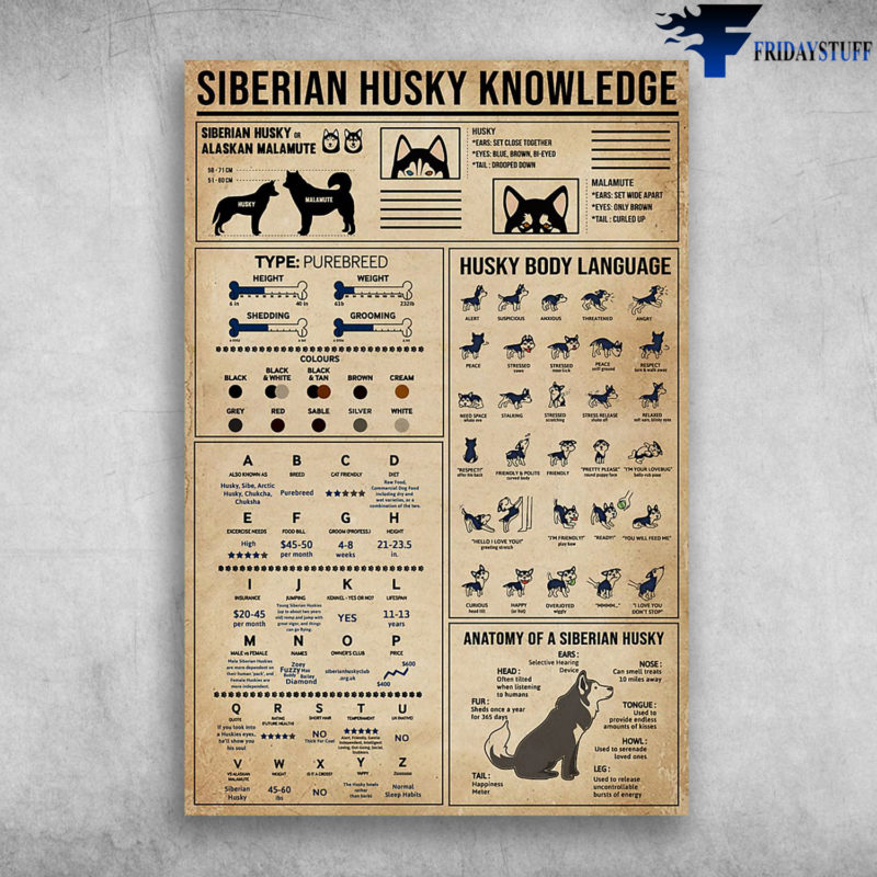 Siberian Husky Knowledge Husky Body Language Canvas, Poster - FridayStuff