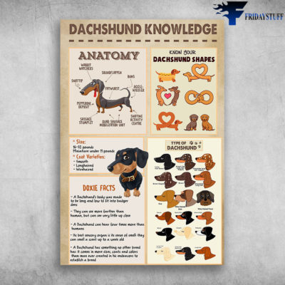 Dachshund Knowledge Dachshund Anatomy Know Your Dachshund Shapes Canvas ...