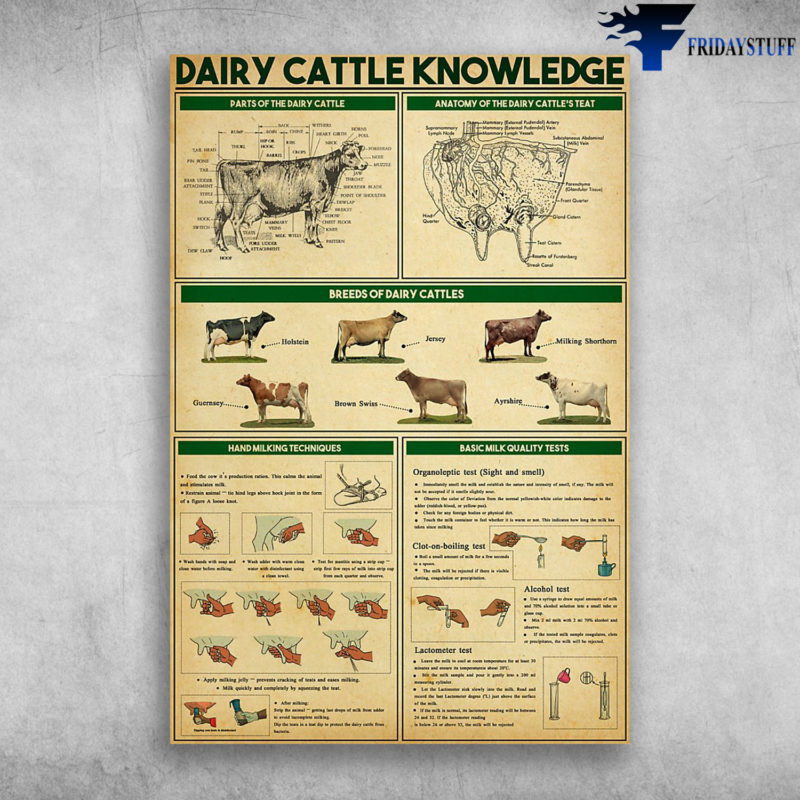Dairy Cattle Knowledge Parts Of The Dairy Cattle Breed Of Dairy Cattles ...