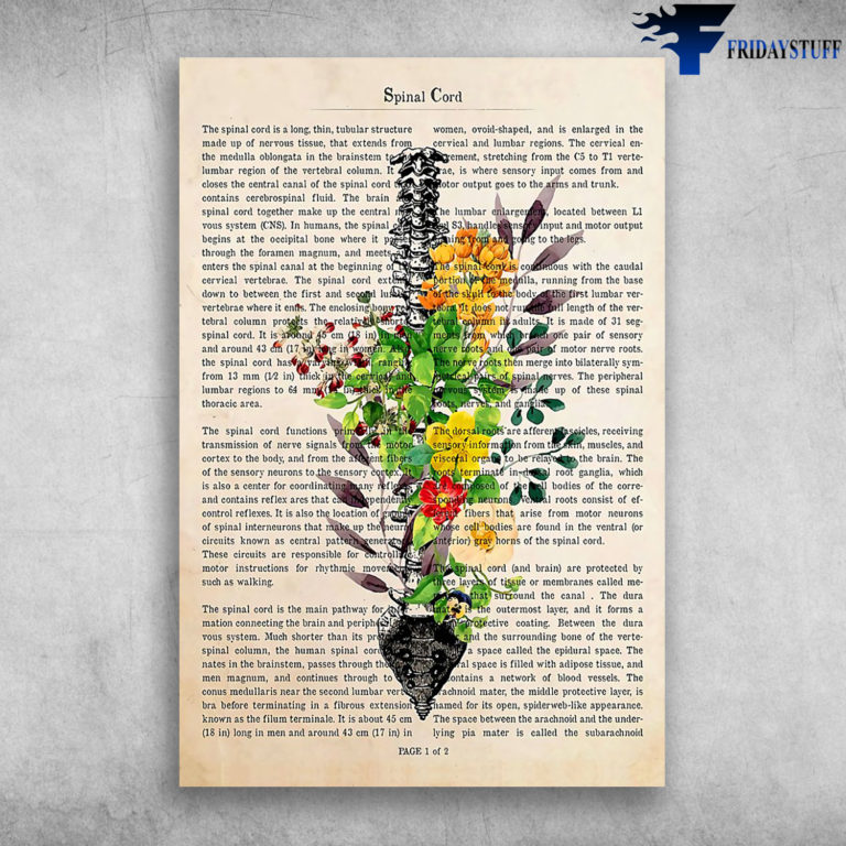 Spinal Cord Human Spine Anatomy Floral Spine Canvas, Poster - FridayStuff