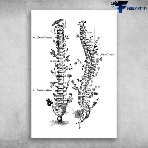 Spine Anatomy Diagram Spine And Flowers Neuro Nurse Neuroscience Canvas ...