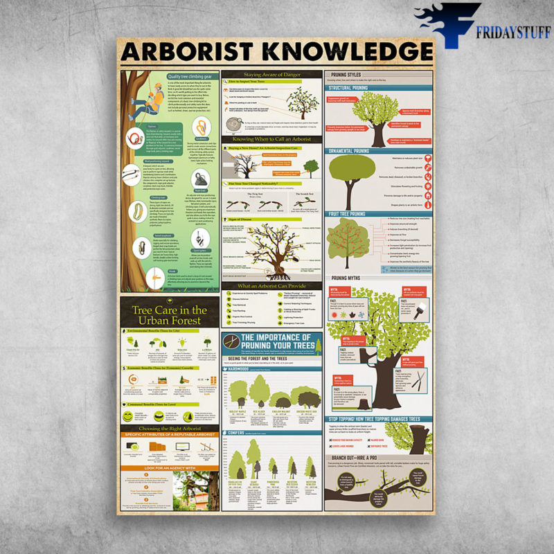 Arborist Knowledge Tree Care In The Urban Forest The Importance Of ...