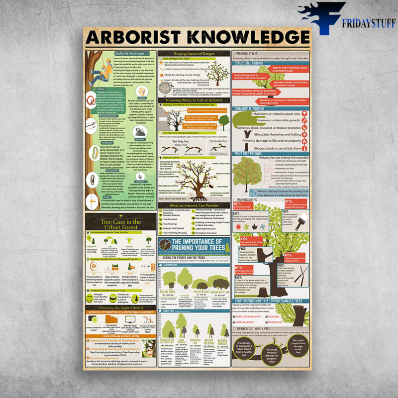 Tree Care In The Urban Forest The Importance Of Pruning Your Trees ...