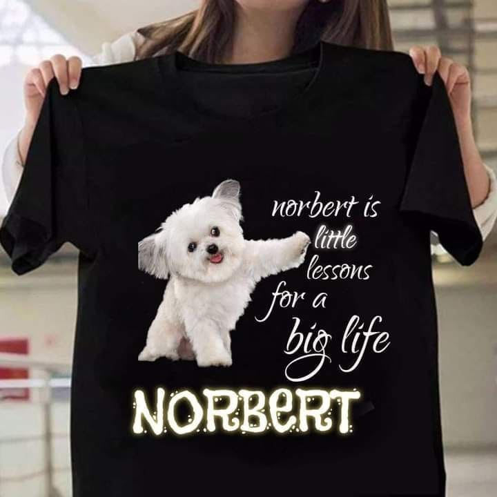 Norbert is little lessons for a big life cute dog - FridayStuff